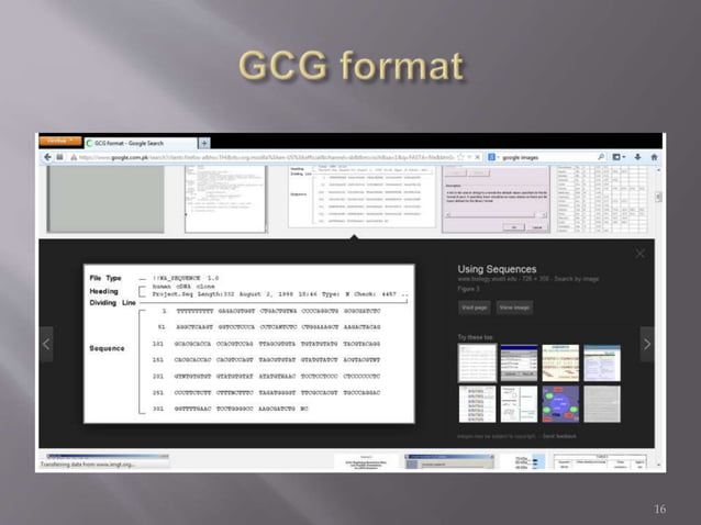 Sequence Of File Formats In Bioinformatics PPT Sequence Of File Formats In Bioinformatics PPT