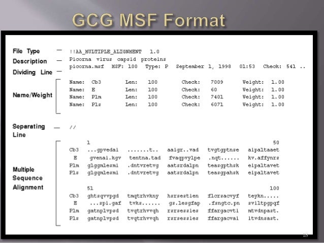 Sequence Of File Formats In Bioinformatics