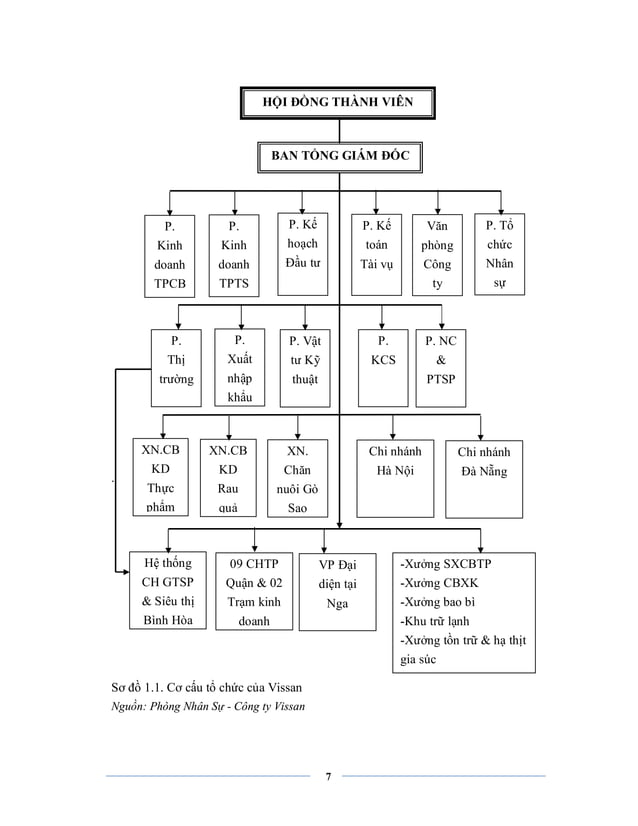 Bài mẫu tiểu luận về công ty Vissan, HAY | PDF