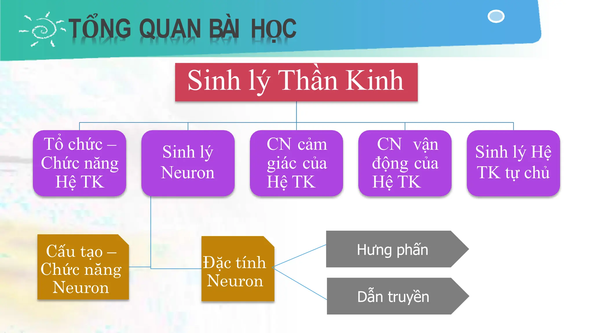 Bài giảng Sinh lí dẫn truyền thần kinh.pptx