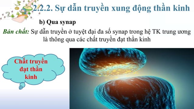Bài giảng Sinh lí dẫn truyền thần kinh.pptx