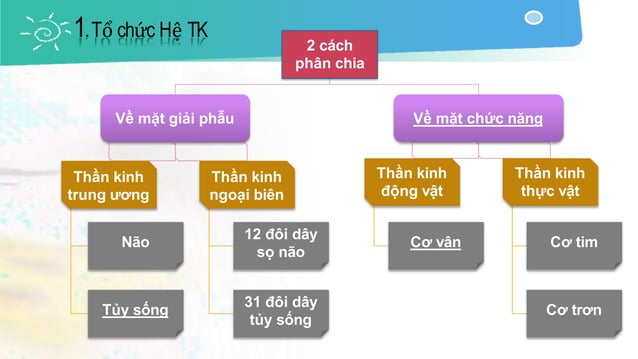 Bài giảng Sinh lí dẫn truyền thần kinh.pptx