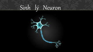 Bài giảng Sinh lí dẫn truyền thần kinh.pptx