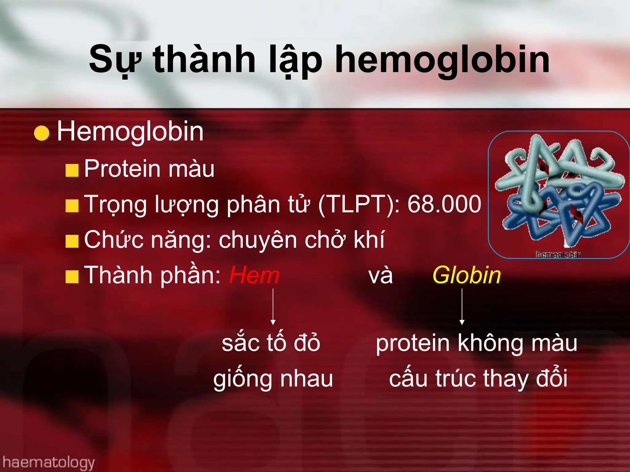 Bài giải sinh lí học, sinh lí máu và thành phần của máu | PPTX
