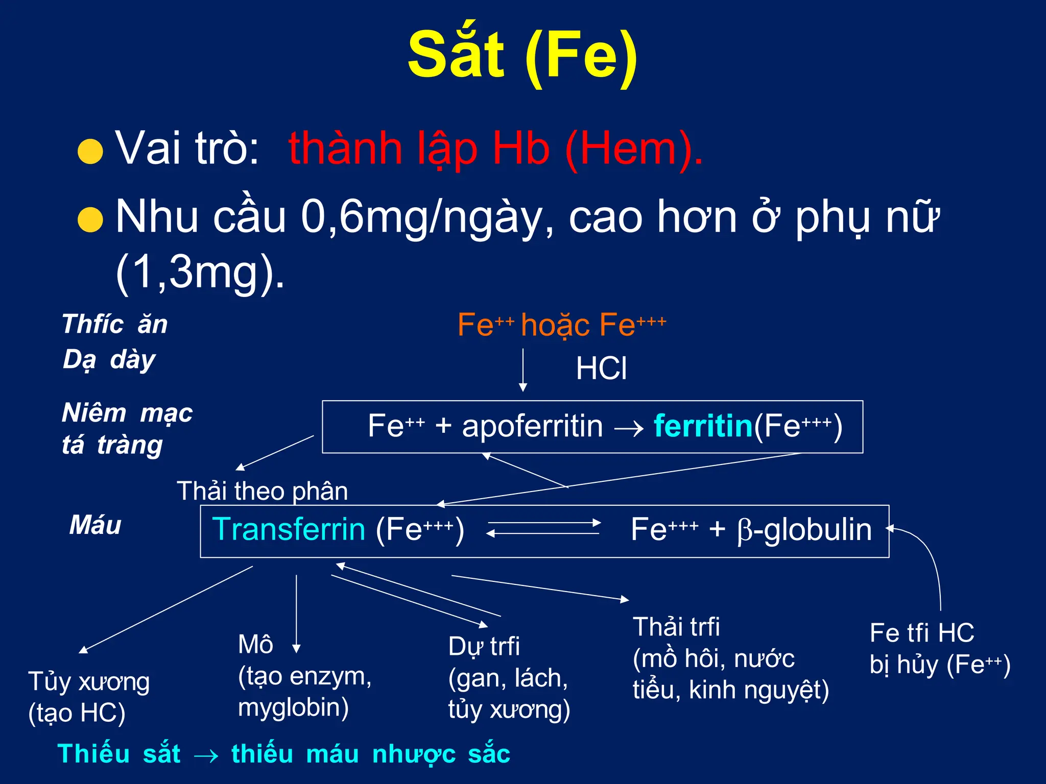 Bài giải sinh lí học, sinh lí máu và thành phần của máu | PPTX