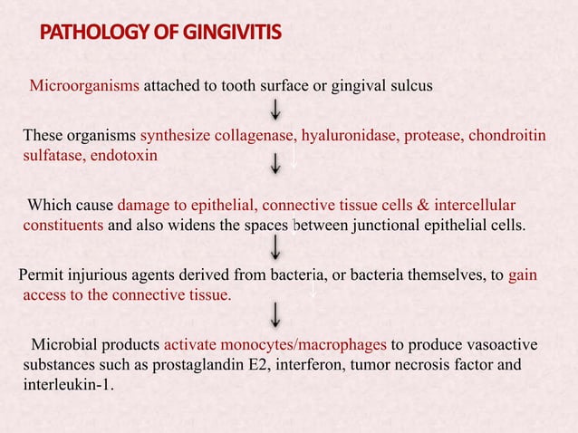 Gingival inflammation and features | PPTX