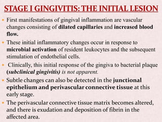 Stages Of Gingivitis