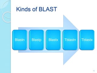 BIOLOGICAL SEQUENCE DATABASES | PPTX