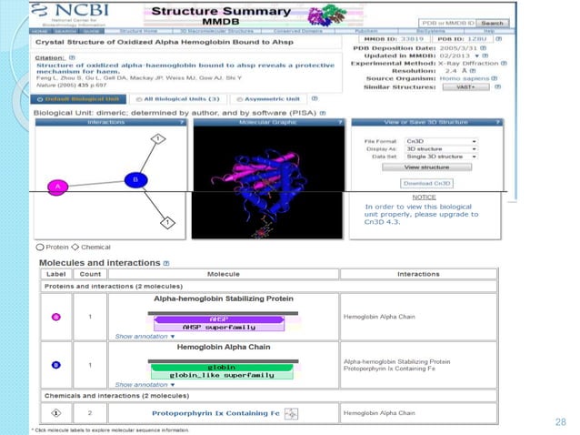 BIOLOGICAL SEQUENCE DATABASES | PPTX