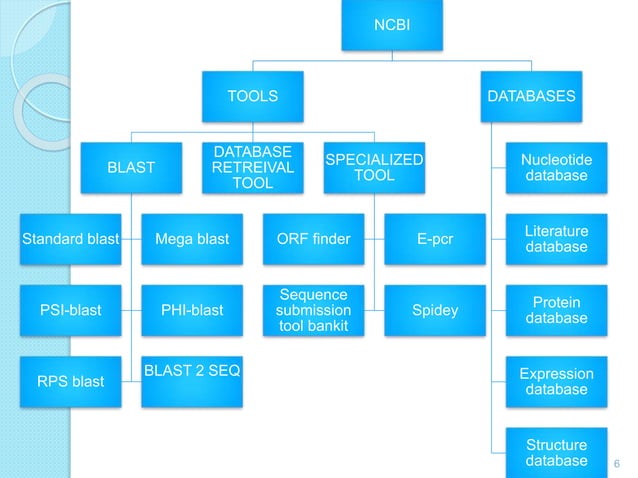 BIOLOGICAL SEQUENCE DATABASES | PPTX