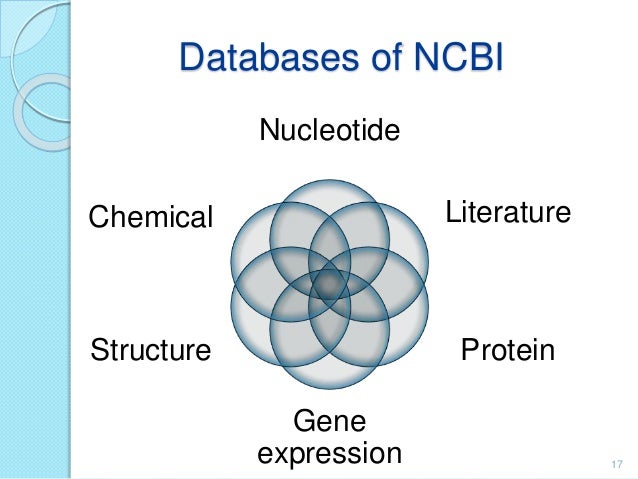 Biological Sequence Databases