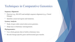 HTS,Community metabolism and comparative genomics | PPTX
