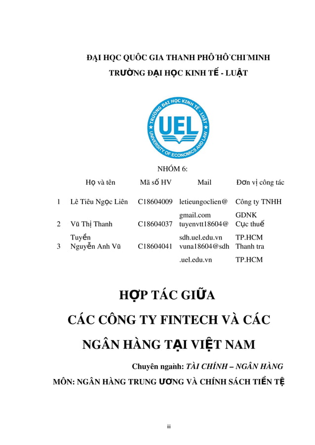 Bài mẫu Tiểu luận về Fintech, HAY | PDF