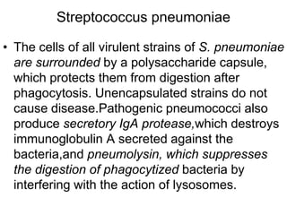 Infection_of_Central_Nervous_System.ppt