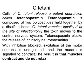 Infection_of_Central_Nervous_System.ppt