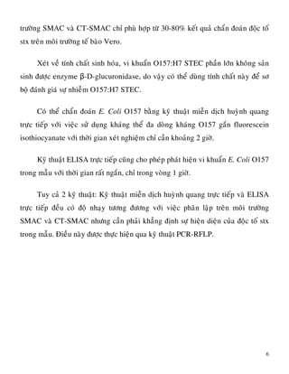 Bài mẫu tiểu luận môn về E.coli. HAY | PDF