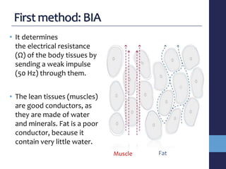 BIA and Skinfold Thicness Measurement | PPTX