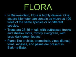 Biak na-bato | PPTX