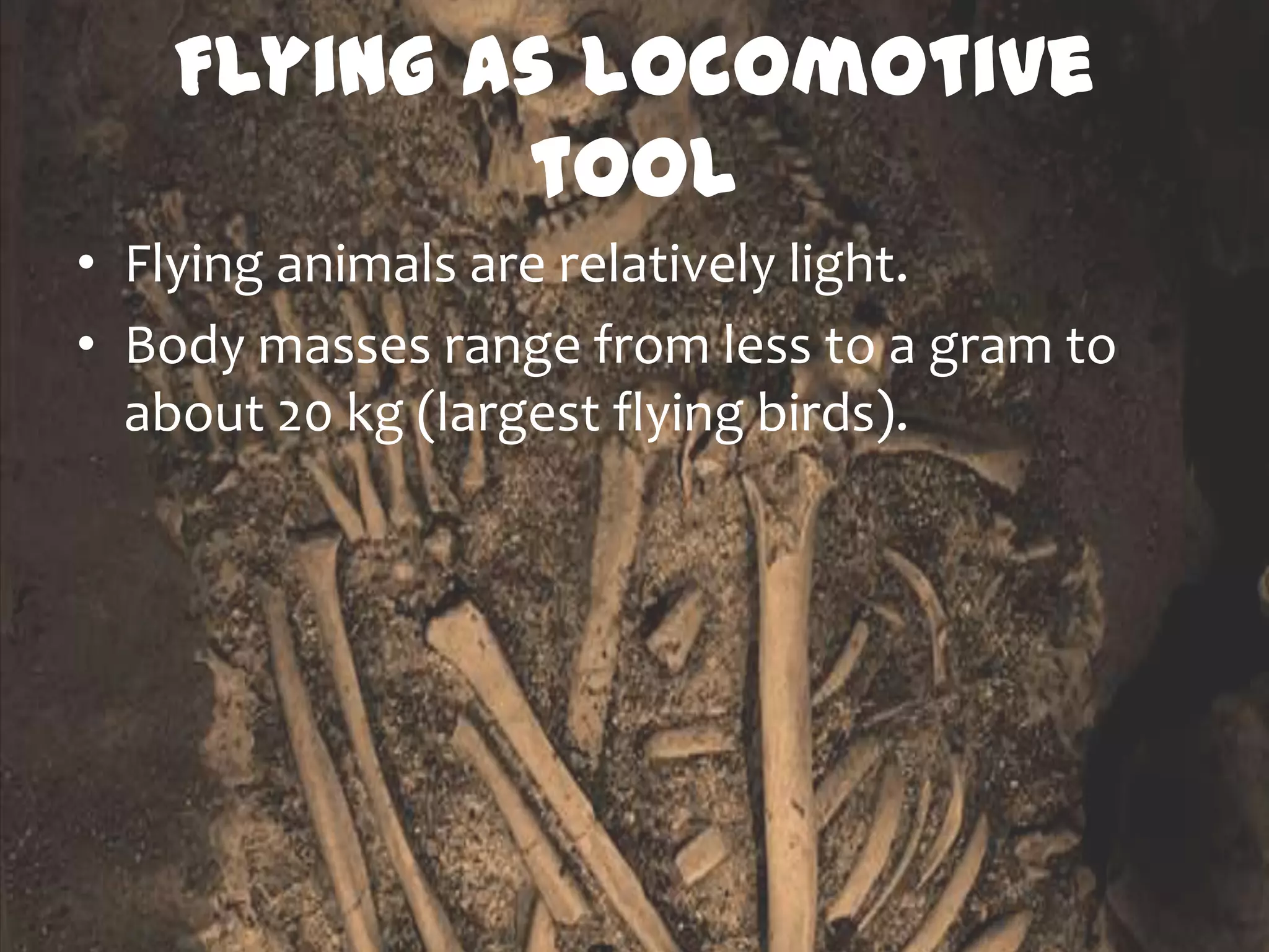 Animal Support System | PPTX | Geology | Science