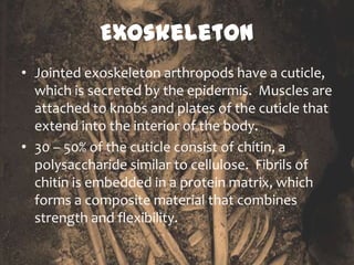 Animal Support System | PPTX | Geology | Science