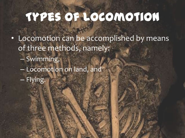 Animal Support System | PPTX | Geology | Science