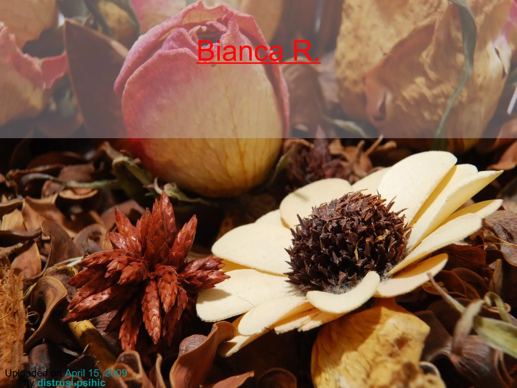 What makes me special | ODP