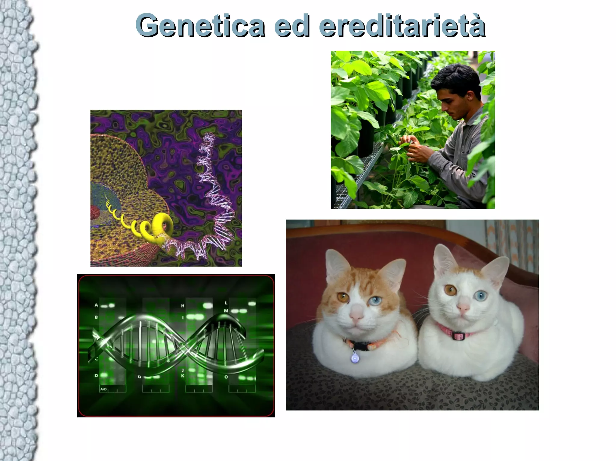 La genetica | ODP