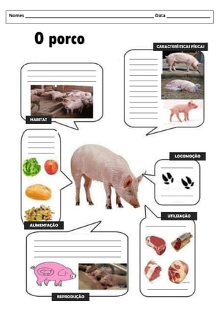 Bilhete de Identidade de animais Guião de instruçãopdf | PDF