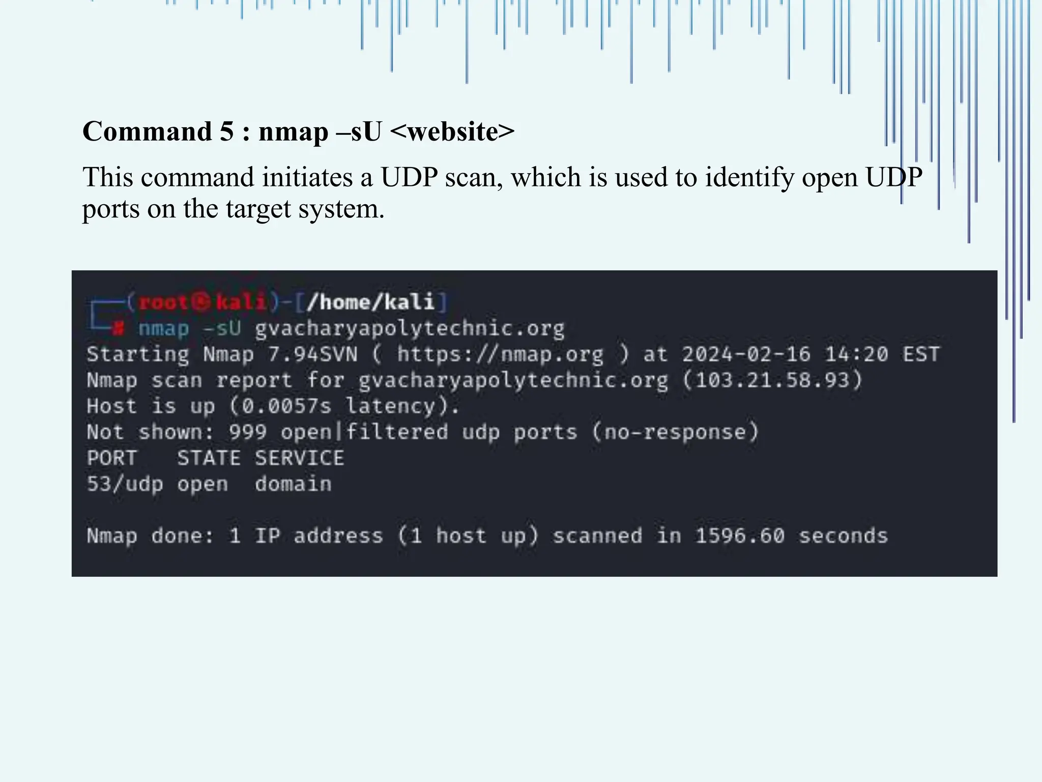 Cyber Security Project : Comprehensive Vulnerability Analysis Report.pptx | Computer Networking ...