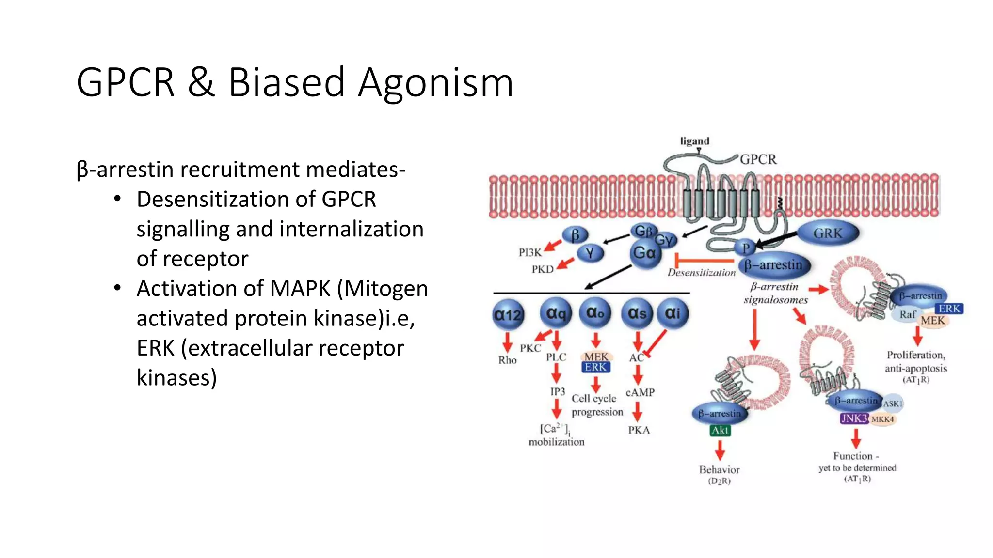 Biased agonism | PPTX