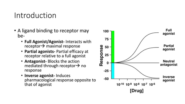Biased agonism | PPTX | Endocrine and Metabolic Diseases | Diseases and ...