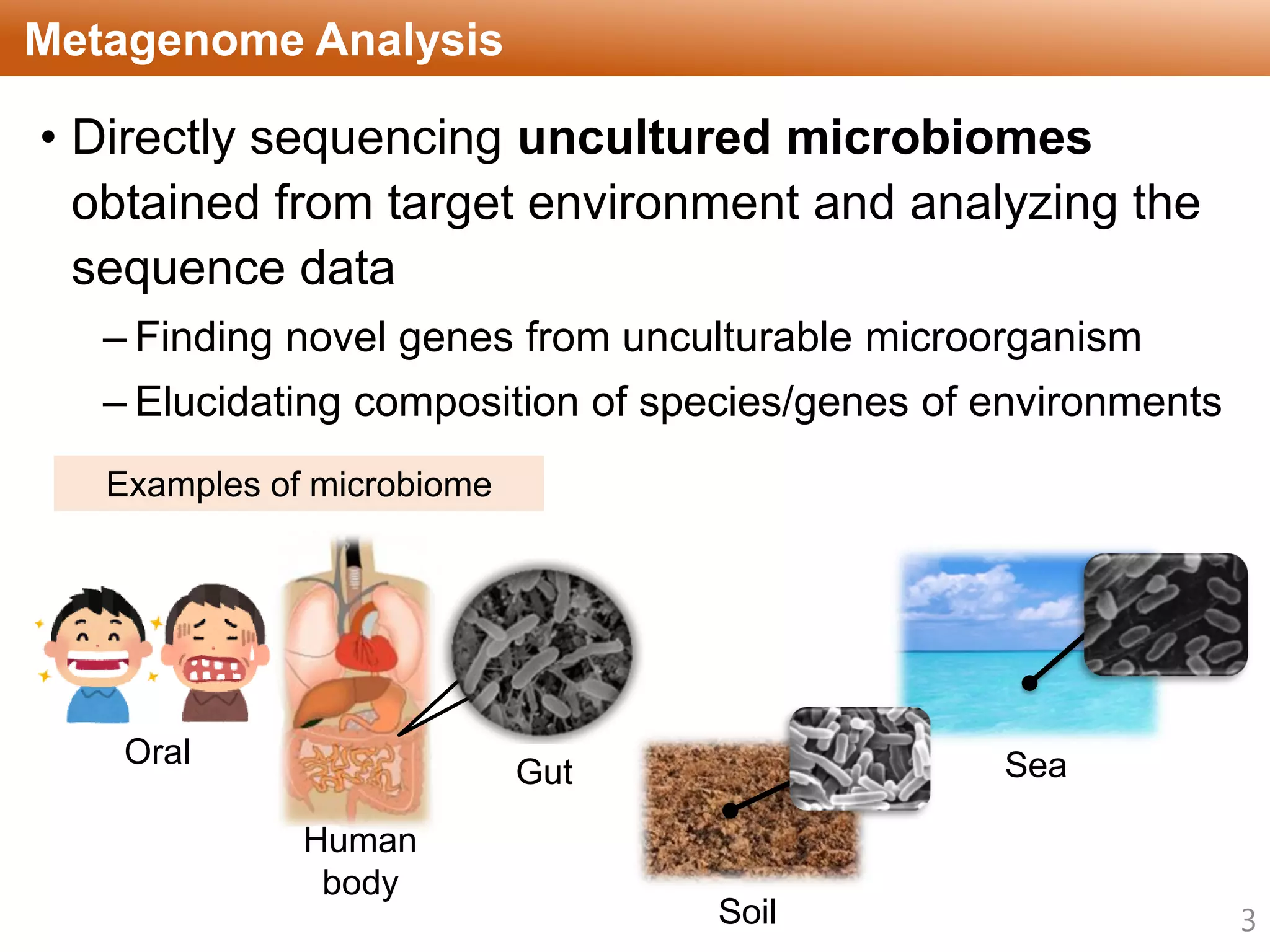 Parallelized pipeline for whole genome shotgun metagenomics with GHOSTZ-GPU and MEGAN | PDF