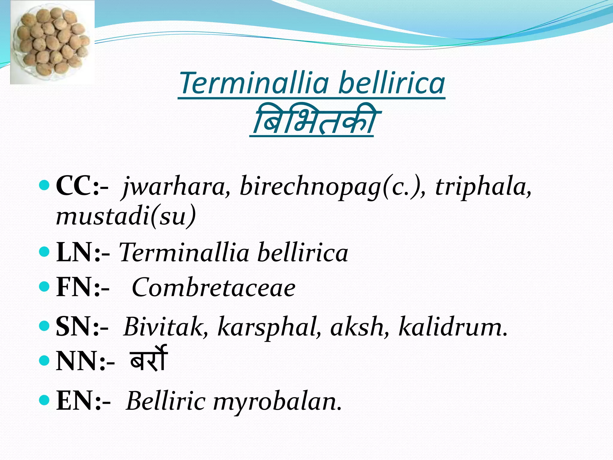 Ayurvedic Pharmacology of Terminalia belerica & its Pharmacognocy | PPTX