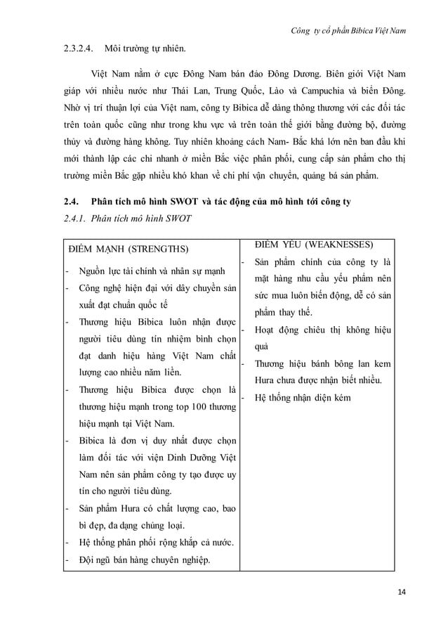 Bài tiểu luận về công ty Bibica | DOCX