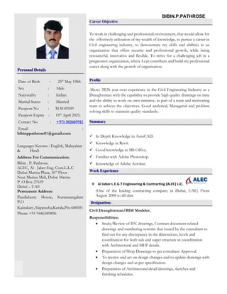 Bibin resume 12.08.2015