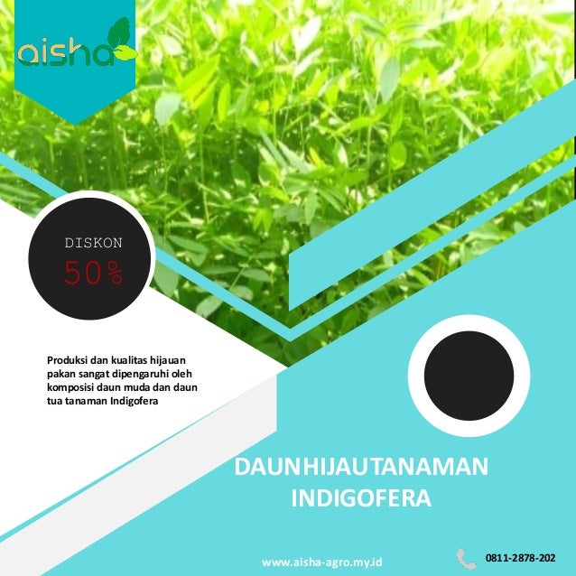 bibit indigofera siap tanam | PDF