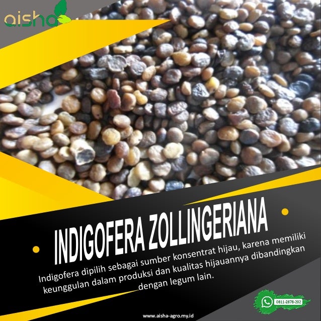 bibit indigofera siap tanam | PDF