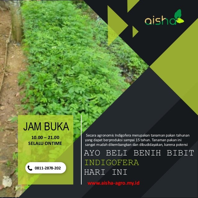 bibit indigofera siap tanam | PDF