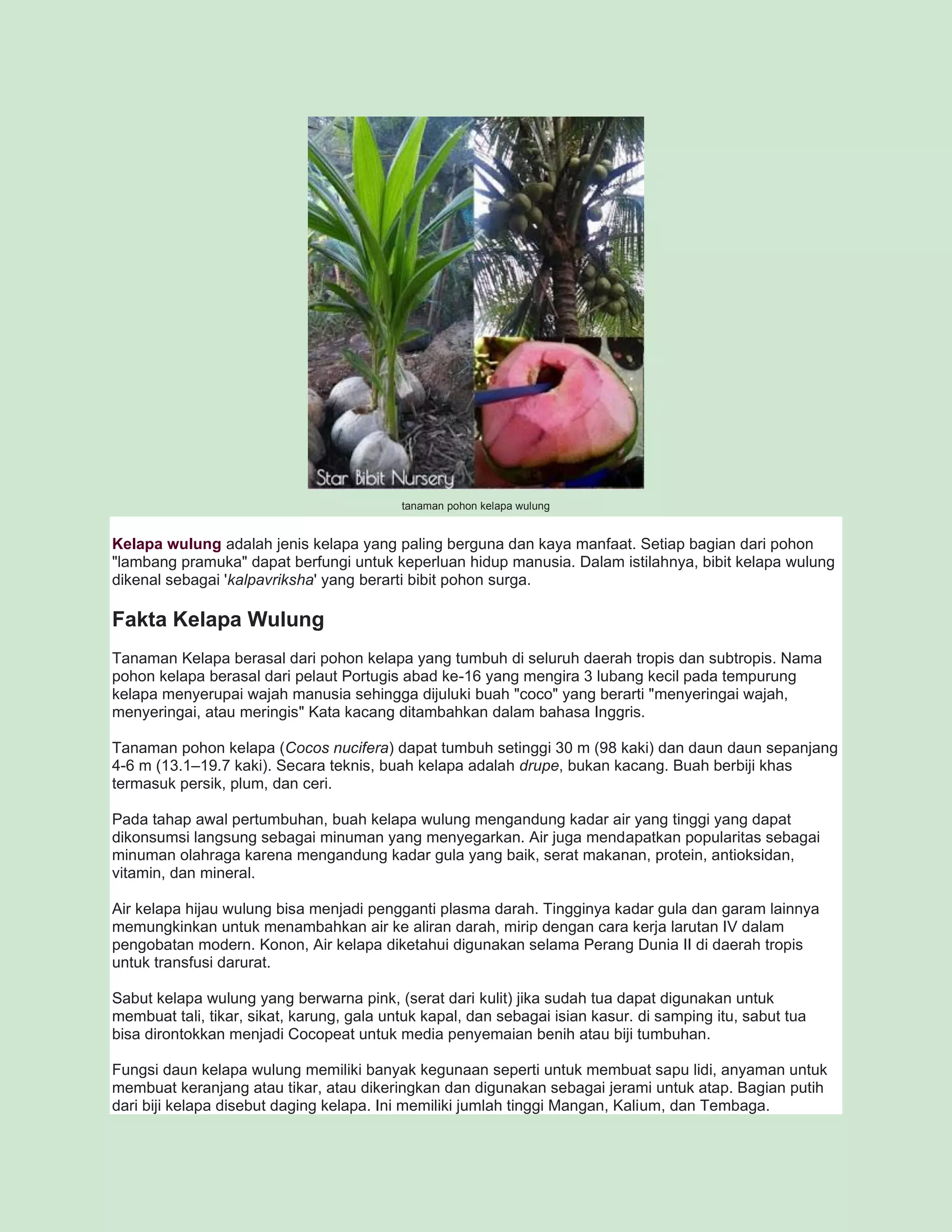 Pohon Kelapa Hijau Wulung | PDF