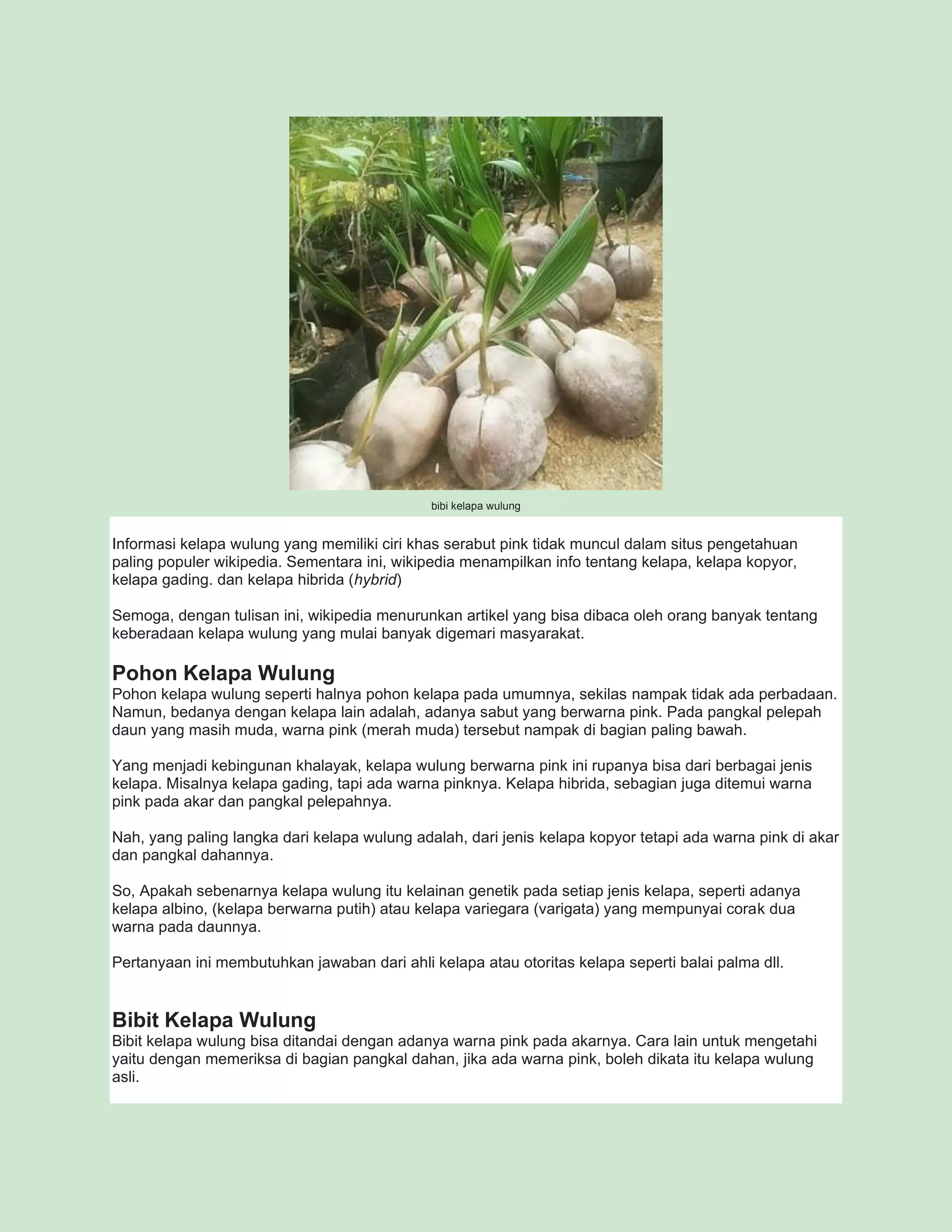 Pohon Kelapa Hijau Wulung | PDF