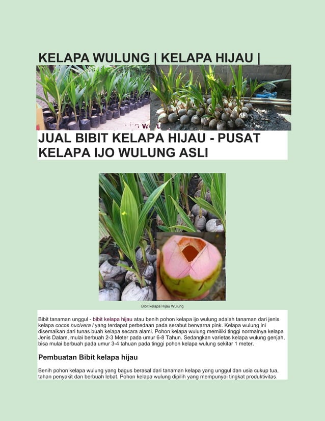 Pohon Kelapa Hijau Wulung | PDF