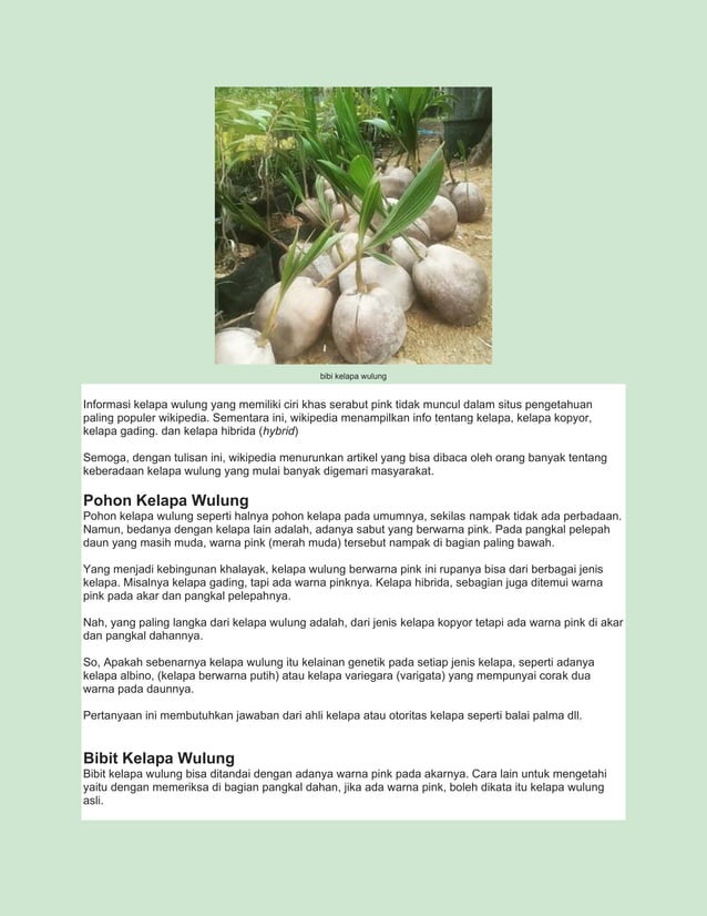 Pohon Kelapa Hijau Wulung | PDF