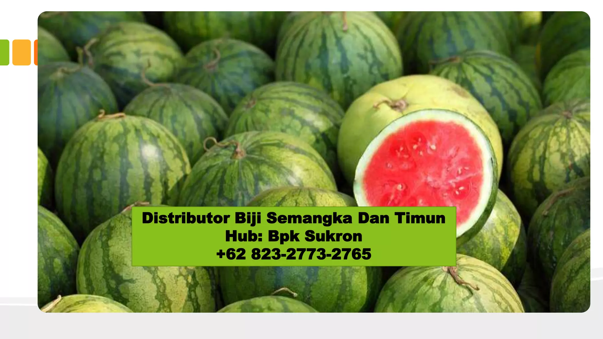 benih semangka ungu Makassar | PPT