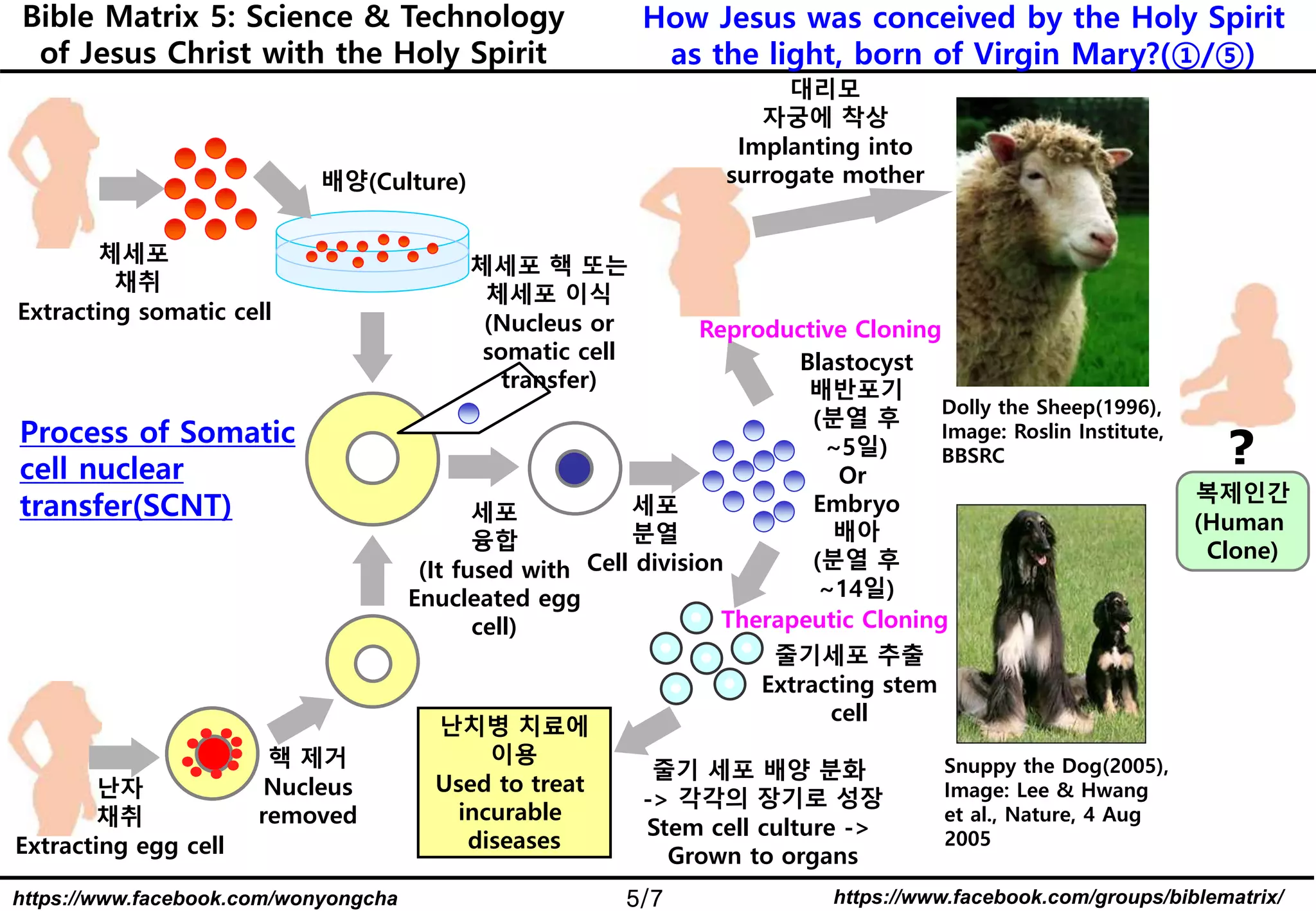 Bible Matrix 5_3_(①/⑤)How Jesus was conceived by the holy spirit, born ...