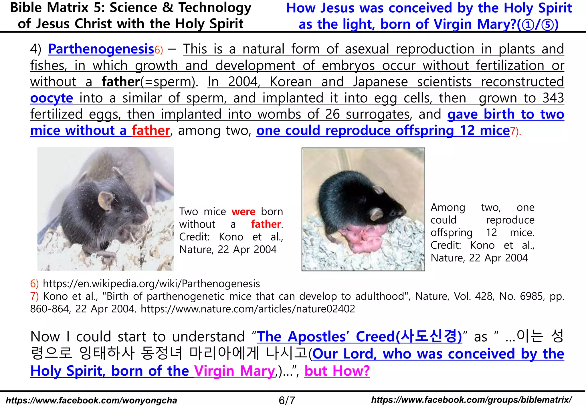 Bible Matrix 5_3_(①/⑤)How Jesus was conceived by the holy spirit, born ...