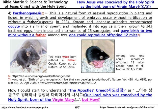 Bible Matrix 5_3_(①/⑤)How Jesus was conceived by the holy spirit, born ...