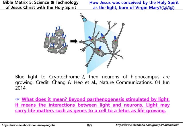 Bible Matrix 5_4_(②/⑤)How Jesus was conceived by the holy spirit, born ...