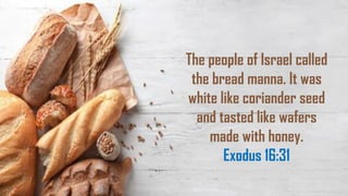 24 Nourishing Bible Passages About Bread | PDF