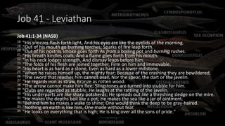 Biblical creationism and real science week 7 | PPTX