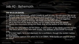 Biblical creationism and real science week 7 | PPTX